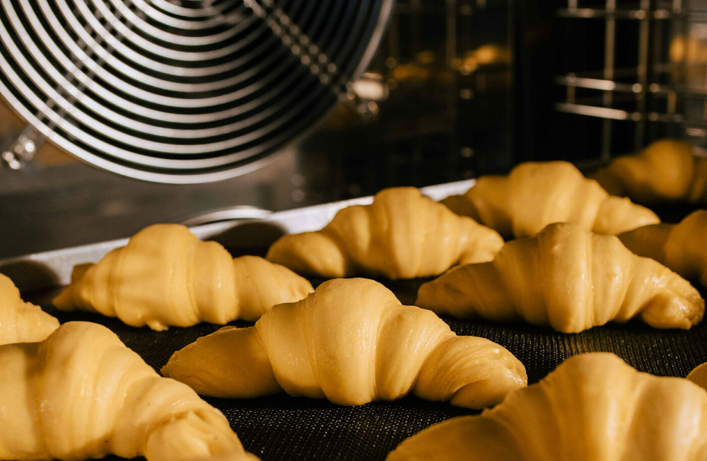 Abbattitori, Conservatori e Fermalievita per Panificazione